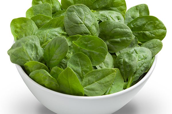 Paddock 2 Porch – Fresh Farm Produce