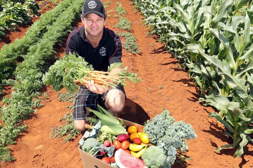 Paddock 2 Porch – Fresh Farm Produce